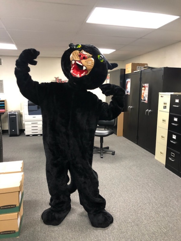 WELCOME TO THE DC MASCOT | MISD Developmental Center
